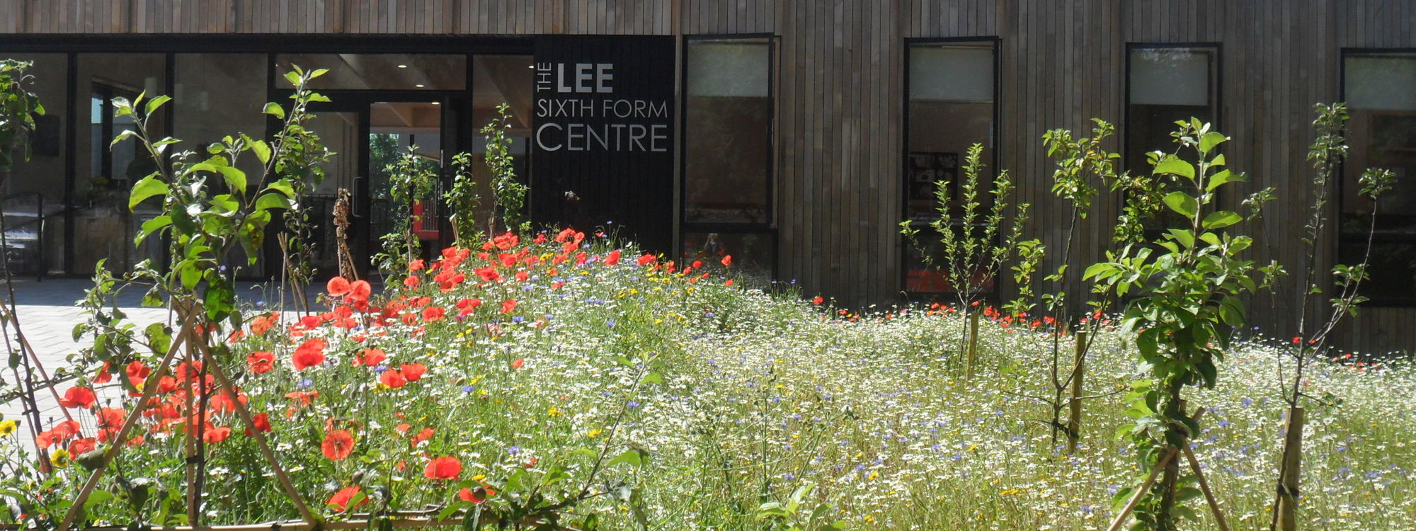 Wellbeing Strategy 2022-23 - Ralph Allen School